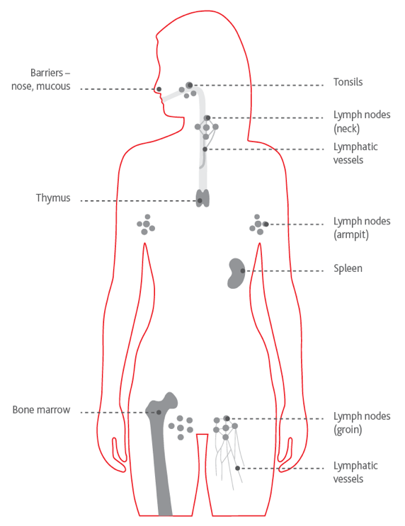 Diagnosis - CLL Support Association