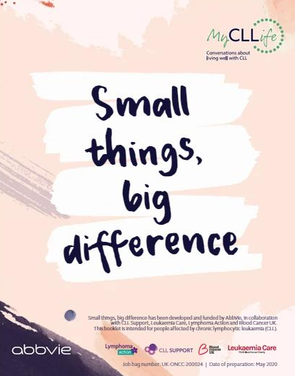 Small things, big difference - inspirational booklet - CLL Support ...