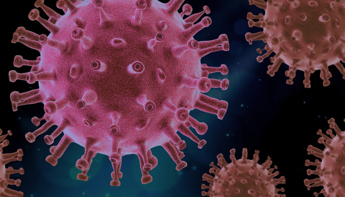 New drug Ronapreve for Covid patients announced - CLL Support Association